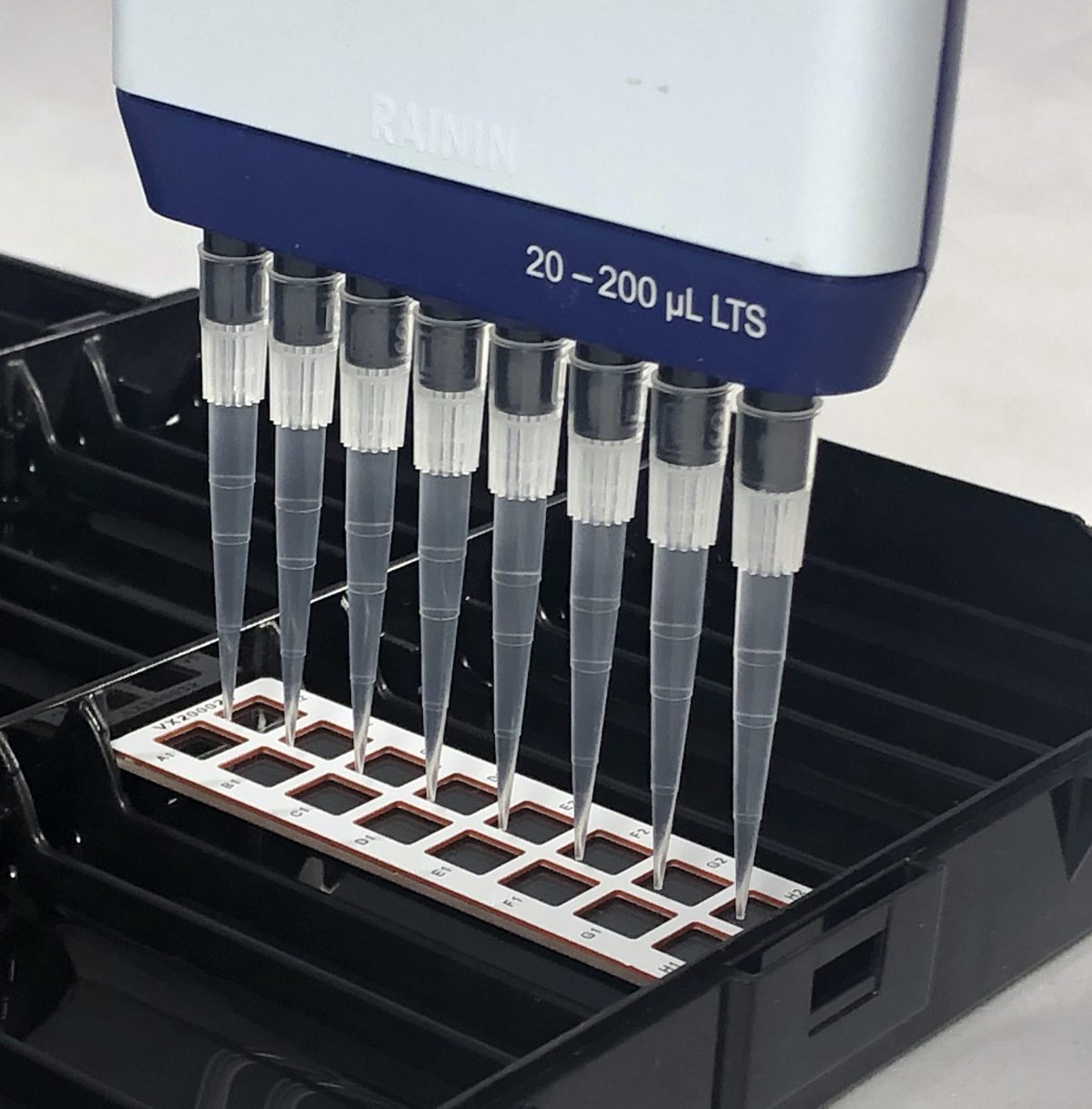 Expert Services | VaxArray Multiplex Assays for Vaccine Testing