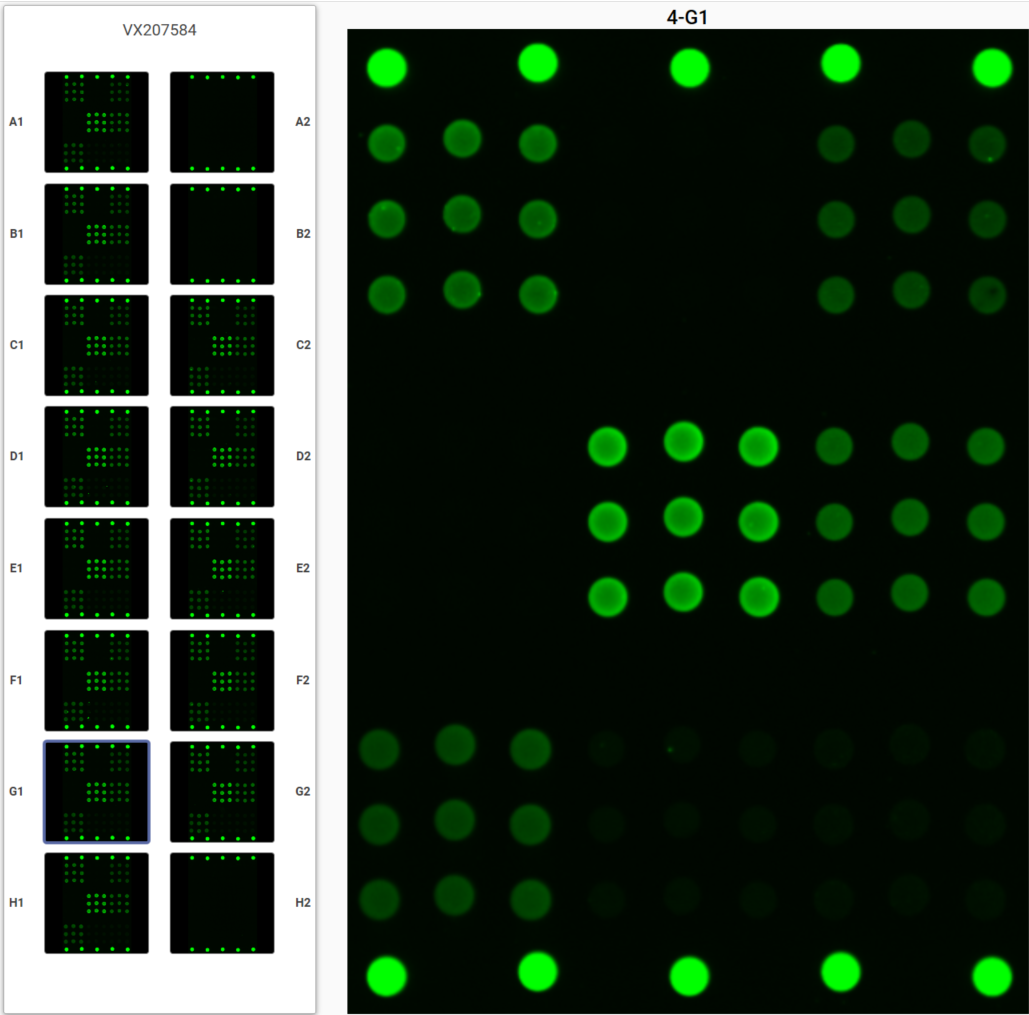 imaging screen crop 4-G1 - InDevR