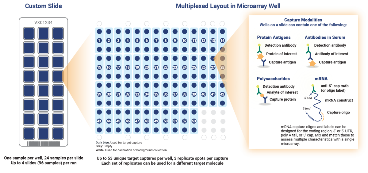 InDevR｜Multiplexed Solutions for Vaccine Testing